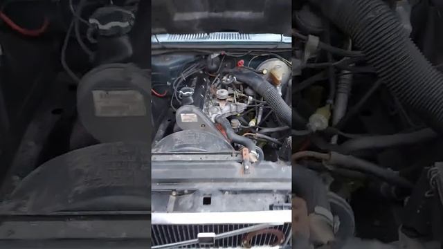 Volvo 740 , purring like a Cat