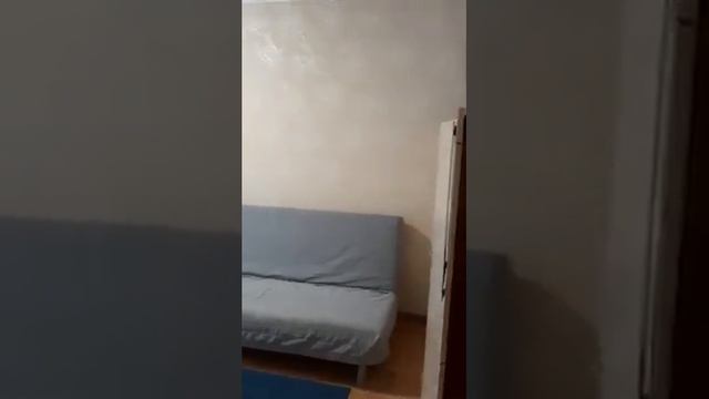 Обзор квартиры Циолкоского д.7