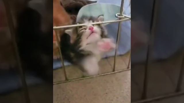 вввввввв