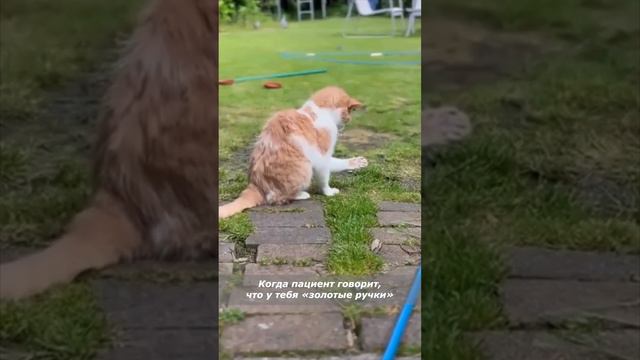 Будни косметолога, 69