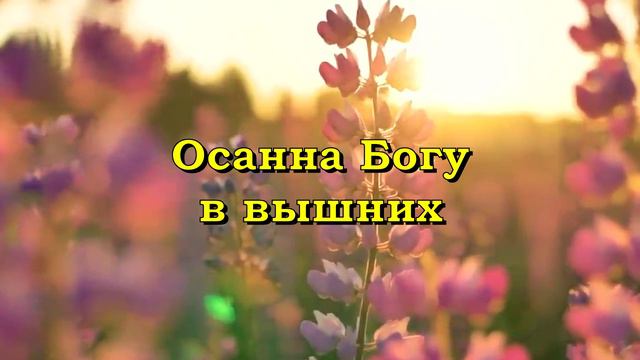 Осанна! [НХМ]