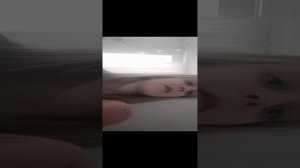 дамашний влог Вита Крутяшка