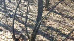 Жизнь прекрасна