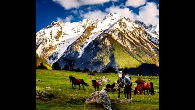 Библия. 49-01. Книга пророка Захарии (01). В восьмом месяце, во второй год Дария.