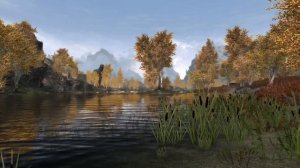 Skyrim SE- Northern Grass- Xbox One