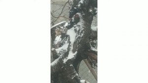 Успейте загадать желание. Сегодня зеркальная дата. У нас первый снег.