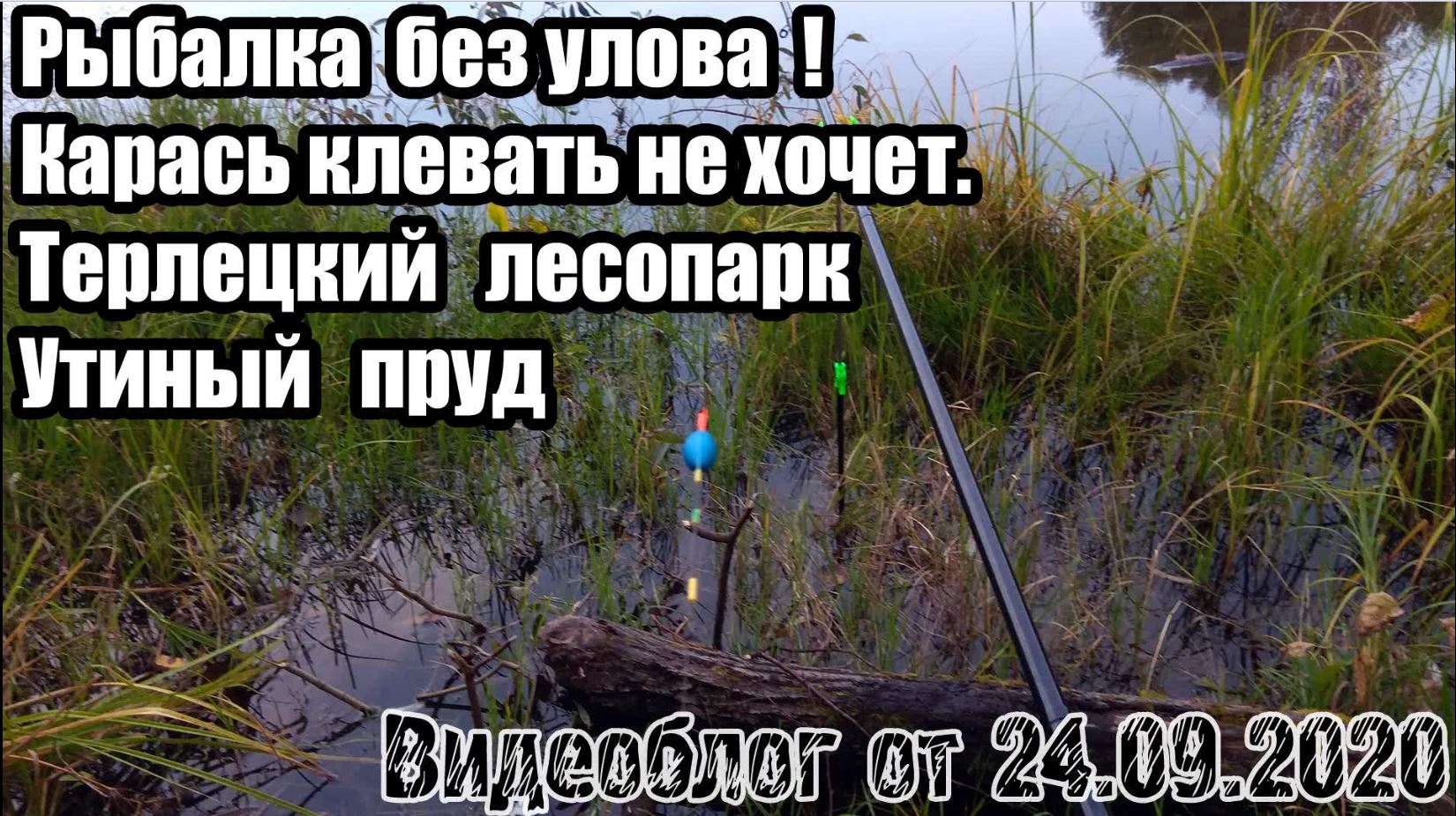 Рыбалка без улова на утином пруду в Терлецком лесопарке (24.09.2020)