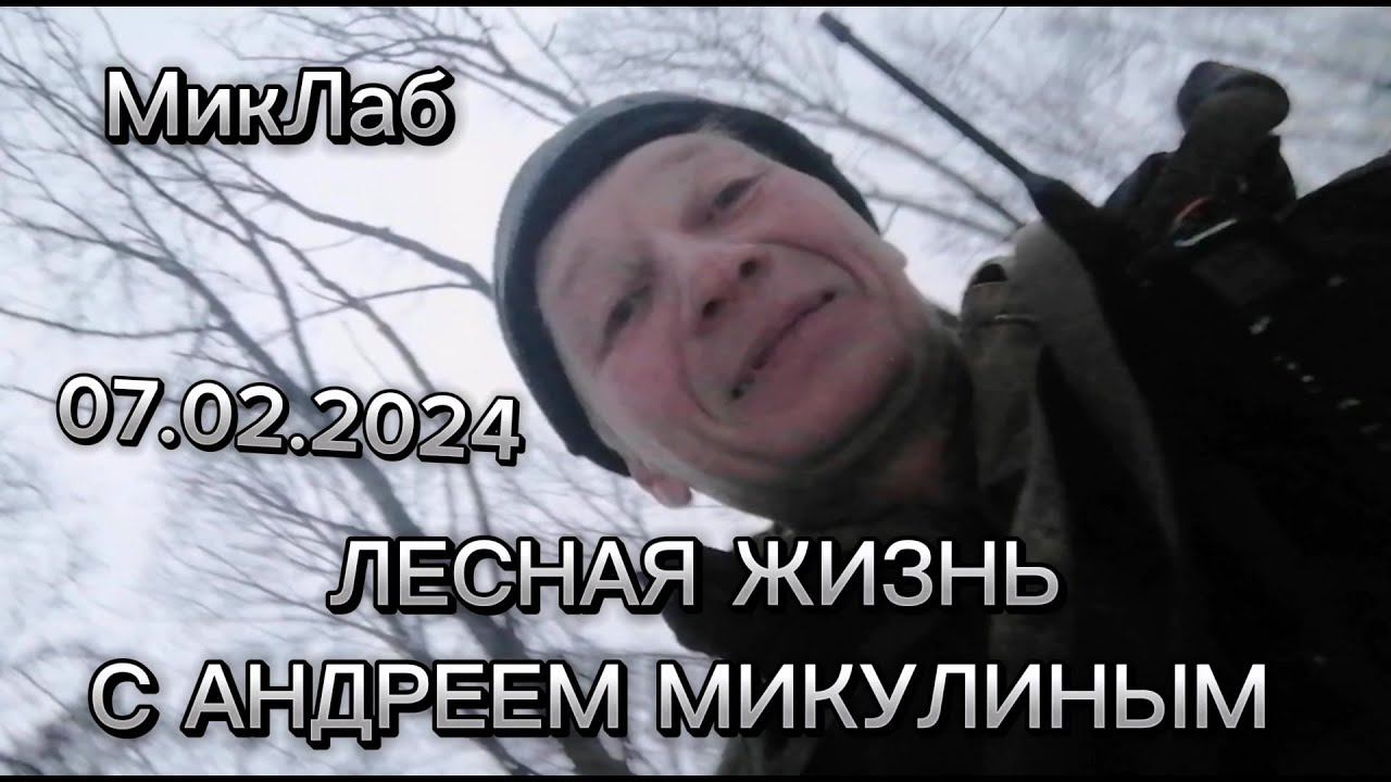 Лесная Жизнь с Андреем Микулиным. Выпуск 07.02.2024 МикЛаб