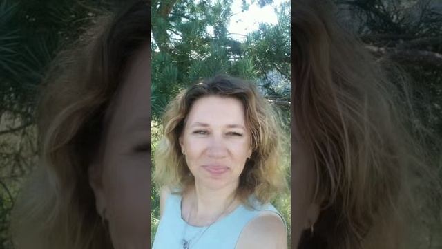 Сосна
