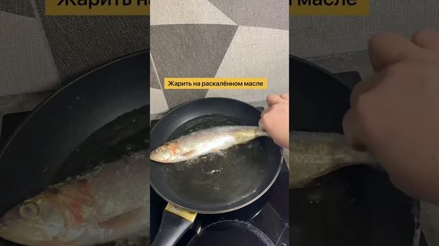 Черноморская селедка способом жучка #shorts