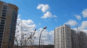 001             23 04 2016 Г      ПРИЯТНОГО   СУББОТНЕГО   ДНЯ , ДРУЗЬЯ !!!