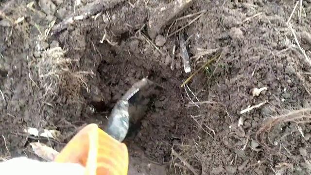 Разведка поля возле дома. Осенний коп металла. Часть 1