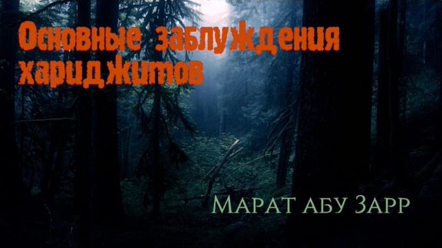 Основные заблуждения хариджитов | Марат абу Зарр