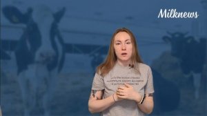 Новости за 5 минут: NFT йогурт, страсти по сыркам и Билл Гейтс в молочке