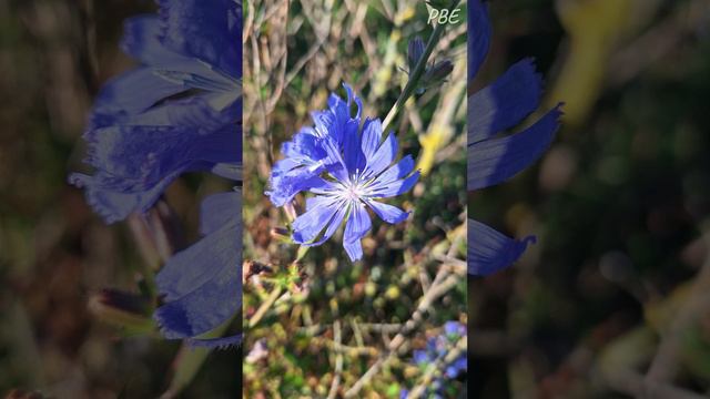 Утро доброе