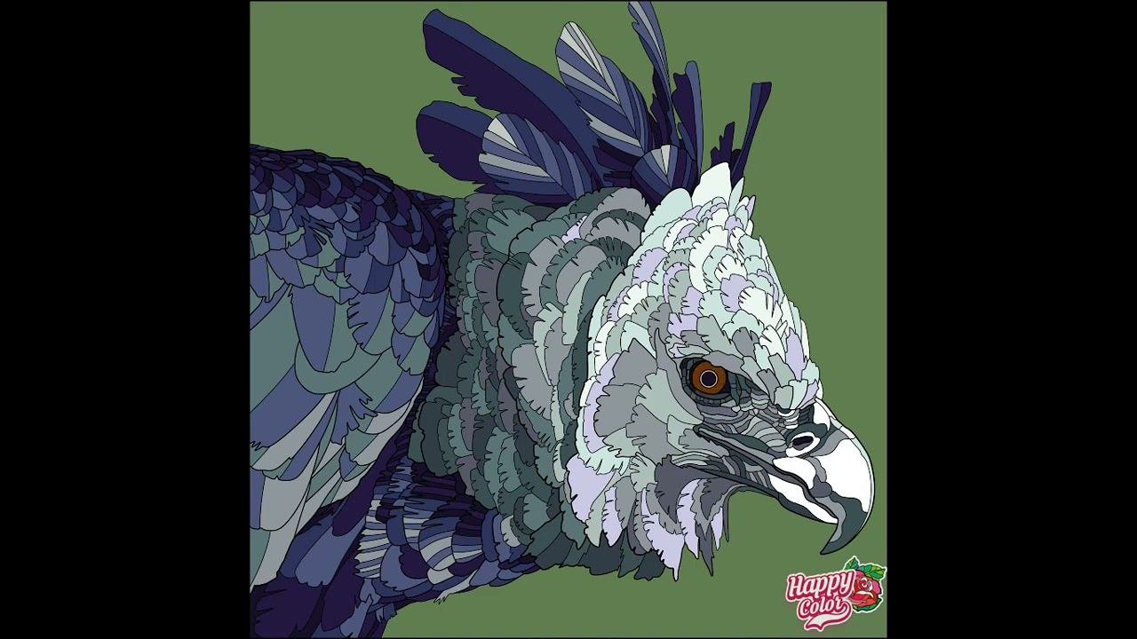 Птицы 351-360