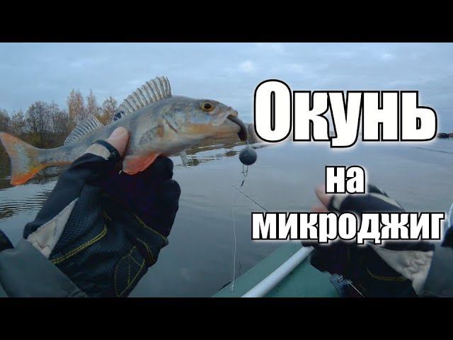 Судак бастует, ловля окуня на микроджиг
