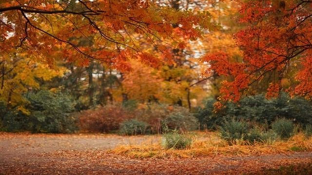 Пианино музыка. Спокойное пианино. Современное фортепиано. Грустное пианино. Классическая музыка