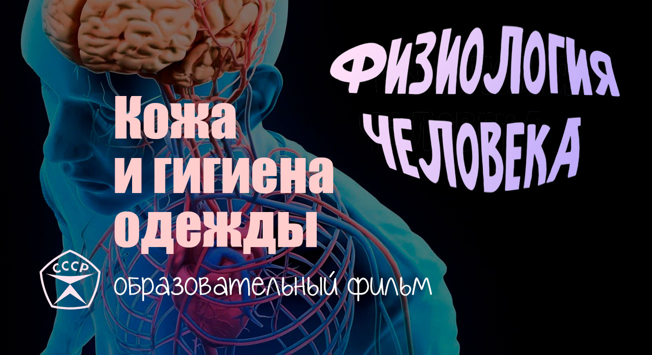 Кожа и гигиена одежды.