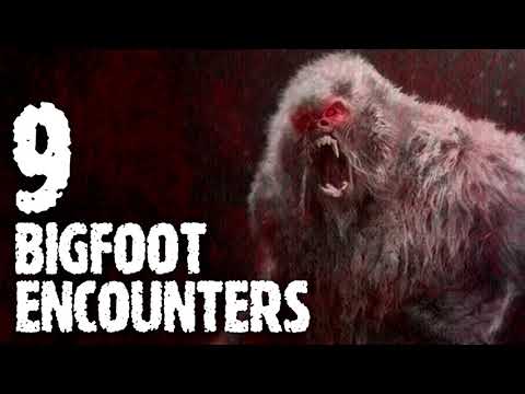 9 HORRIFYING BIGFOOT ENCOUNTERS (Sasquatch, Bigfoot) - What Lurks Beneath