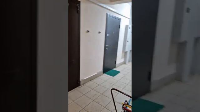 Богородский 2