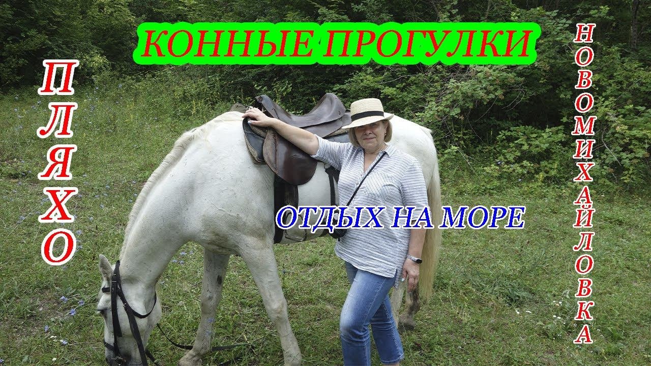 Конная прогулка для начинающих и профи/Пляхо/Отдых на море в Краснодарском крае/Новомихайловский