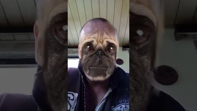 Mobile apps SNAPCHAT Face mask for happy children