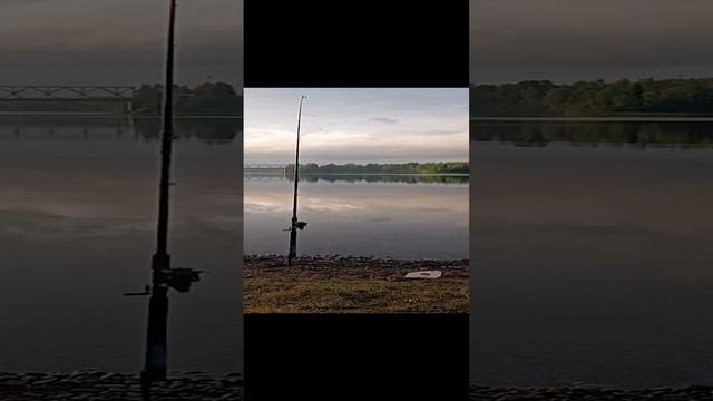 вуокса