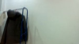 Видео с веб-камеры. Дата: 22 января 2014 г., 4:12.