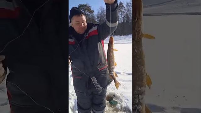 Зимняя рыбалка