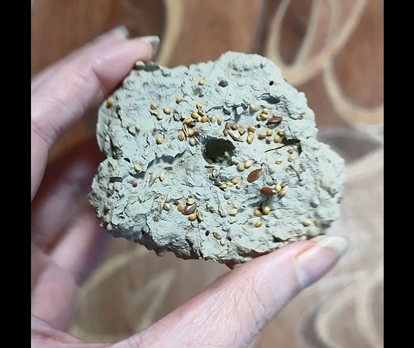 Печенье из глины для попугаев.