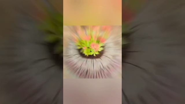 Клумба для сада своими руками из цемента и покрышки #поделкиизцемента