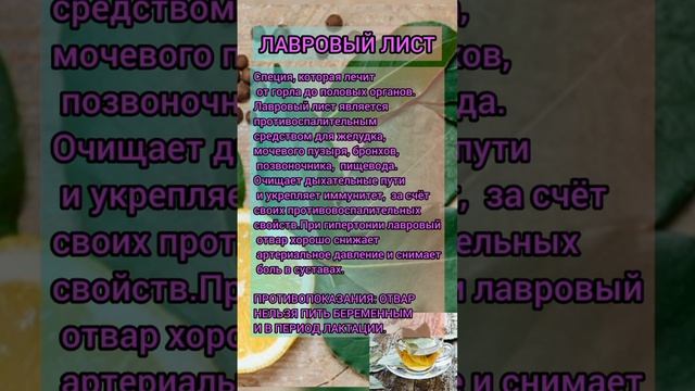 Лавровый лист лечит?#полезныесоветы #здоровье #лавровыйлист