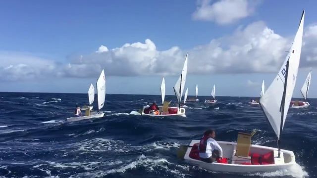 Техника управления парусным судном - Серфинг - Dinghy Optimist