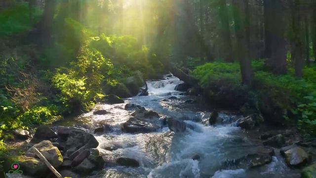 Расслабляющая музыка, исцеляющая от стресса, беспокойства,депрессивных состояний.успокоить разум