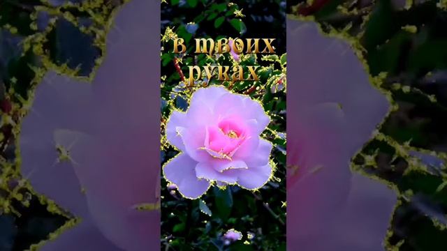 Замечательной погоды в душе