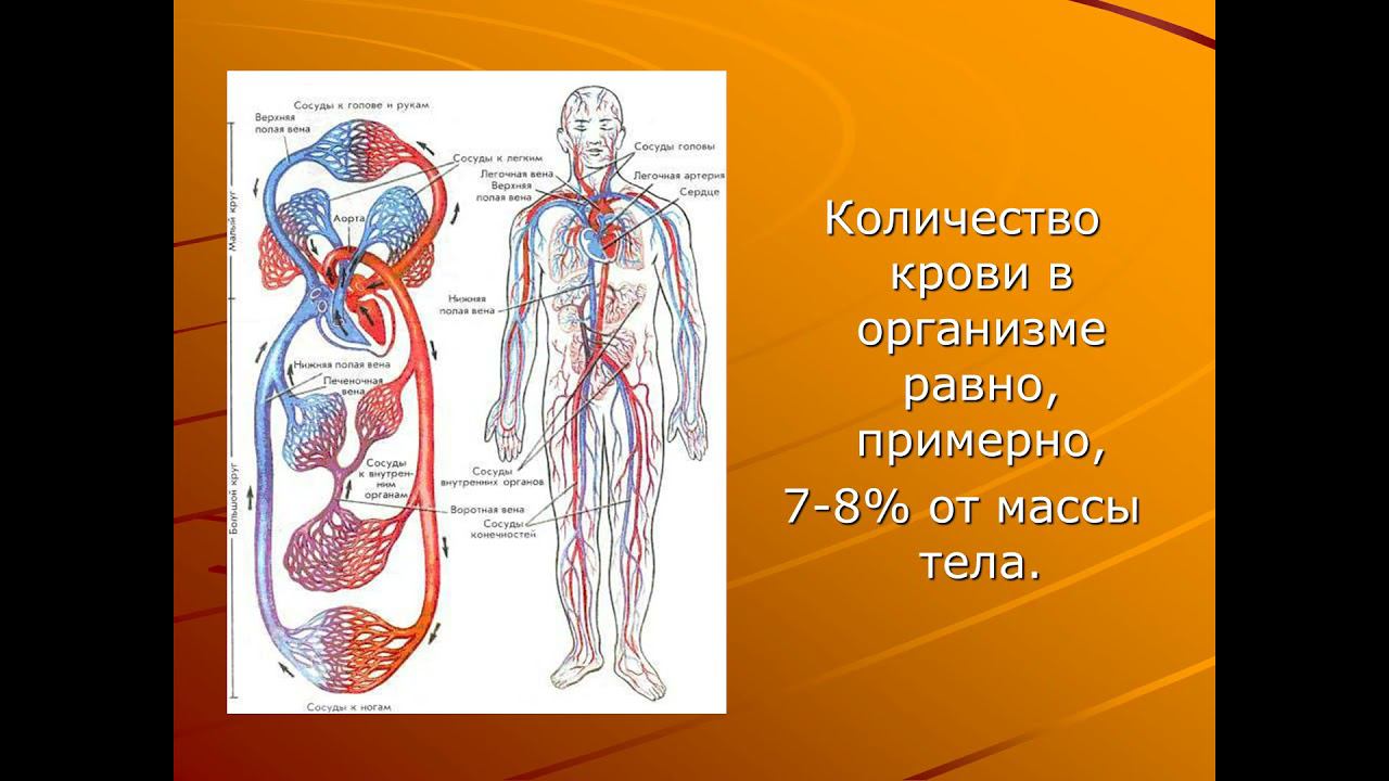 Лекция 2