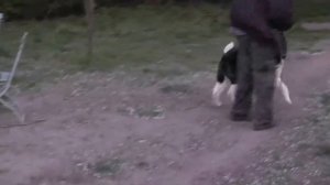 Алиенс Бьюти Авалорд