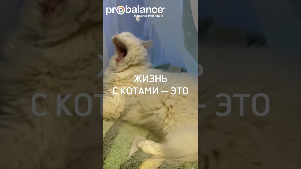 31 марта 2024 г.