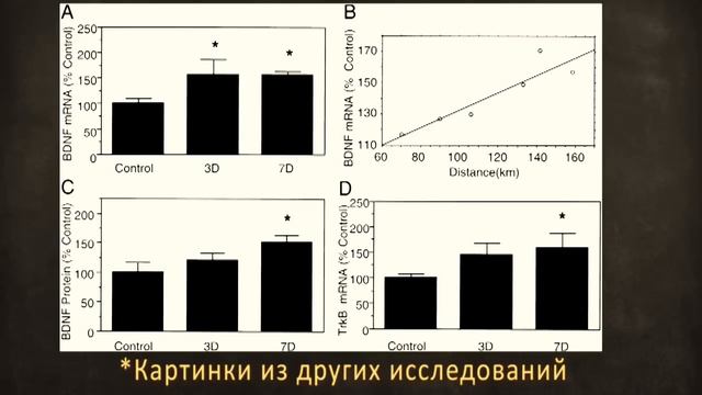 40. Как Прокачать Мозг Нервные Клетки