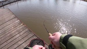FISHERIX. ОТКРЫТИЕ ВЕСЕННЕГО ФОРЕЛЕВОГО СЕЗОНА 2023