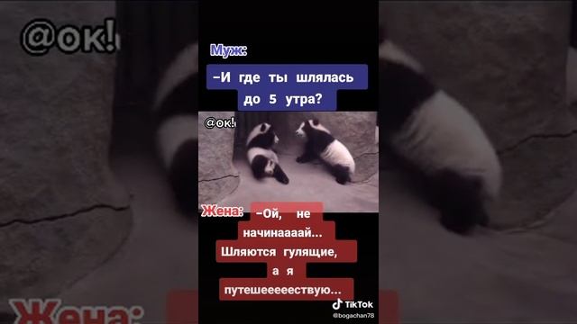 Смешной прикол 7 2023