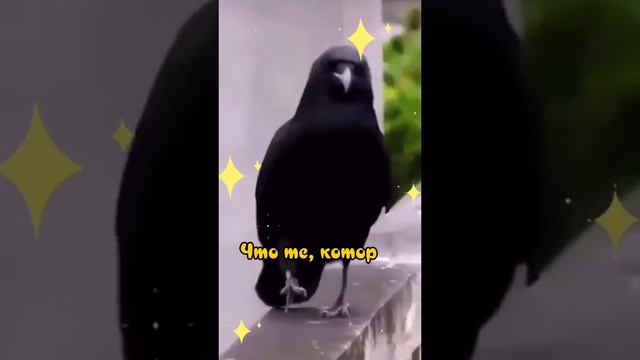 Шла такой походкой...