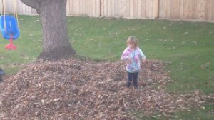 Ella lost her dinosaur in the leaves