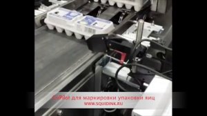 Маркировка упаковки яиц принтером от Squid Ink