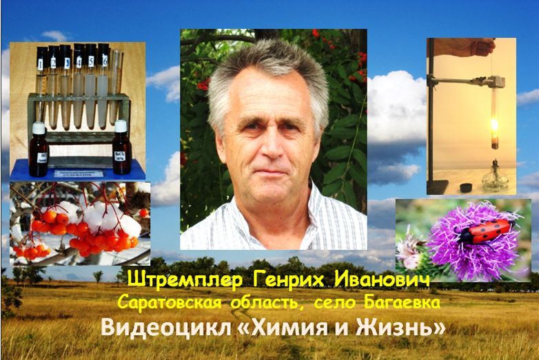 Бабочки, шмель и ....mp4