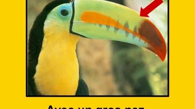Avec un gros nez par Alain Le Lait