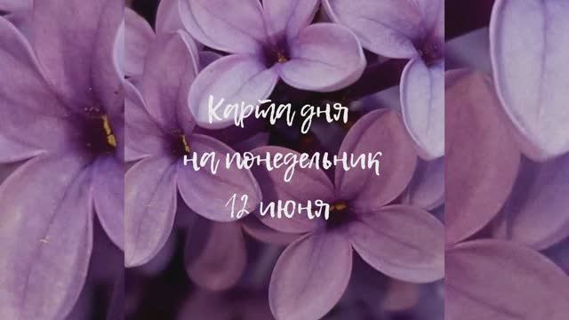 Карта дня на 12 июня