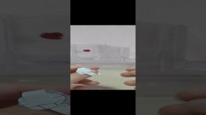 не пролистывай пожалуйста ???? посмотри и подпишись пж??