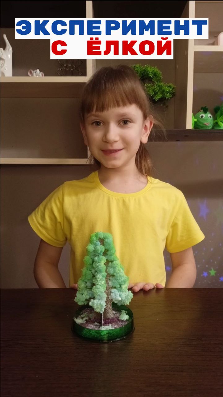 Как оживить ЕЛКУ из картона? #экспериментыдлядетей